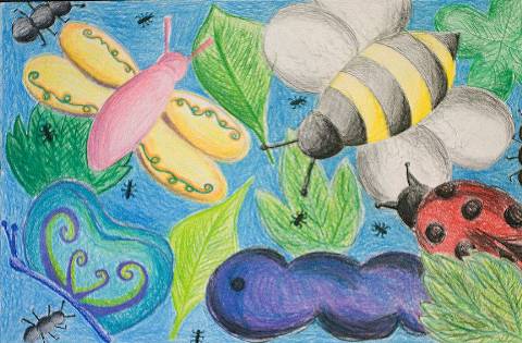 Student Art: Colored Pencil Projects