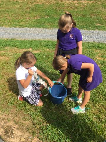 Jack & Jill STEM Project