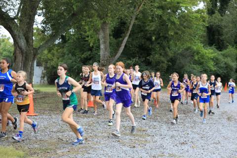 Darlington Cross Country Festival: Middle School