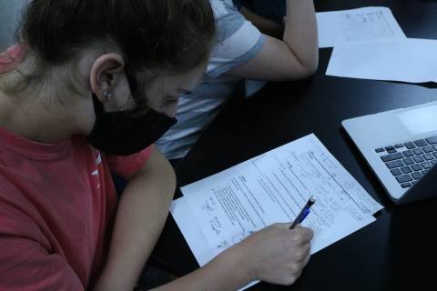 RUMPUS: Dar Trivia (Gallery 2)