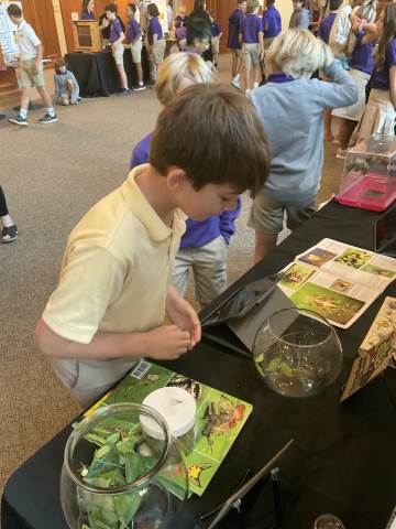 Insect Expo