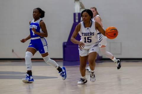 Darlington Girls' Varsity Basketball vs. Trion