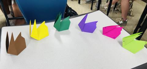Advisory Origami Competition