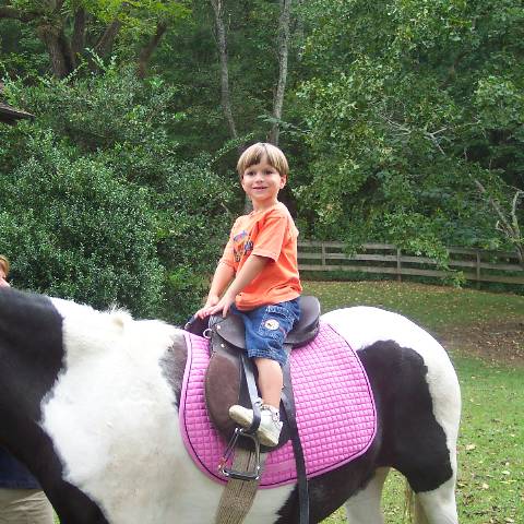 Yee Ha! Cowboy Day was great!