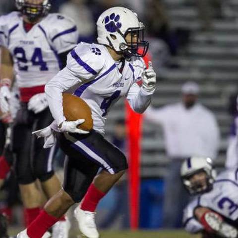 Tiger football players honored with spots on all-area teams