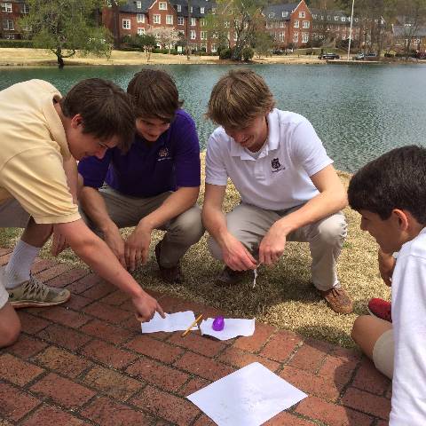 Algebra 2 Easter Egg Hunt Test Prep