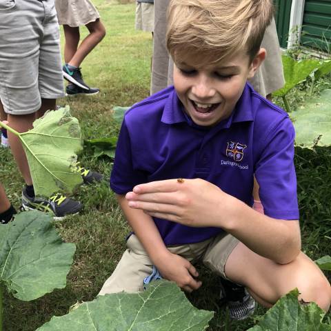 5th Grade Collects Insects for the Insect Expo