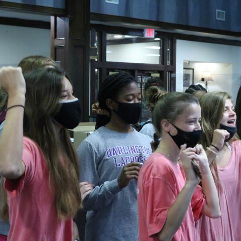 RUMPUS: Dar Trivia (Gallery 2)