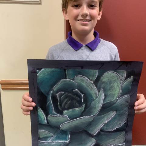 Visual Arts Succulents