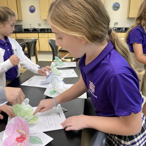 3rd Grade Science: Pollination Simulation