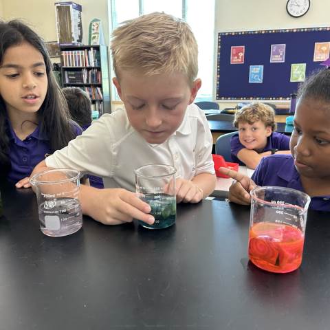 3rd-Grade Science: Marker Madness