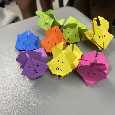 Advisory Origami Competition