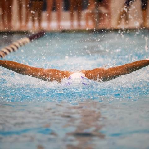 Varsity Swim/Dive Home Meet